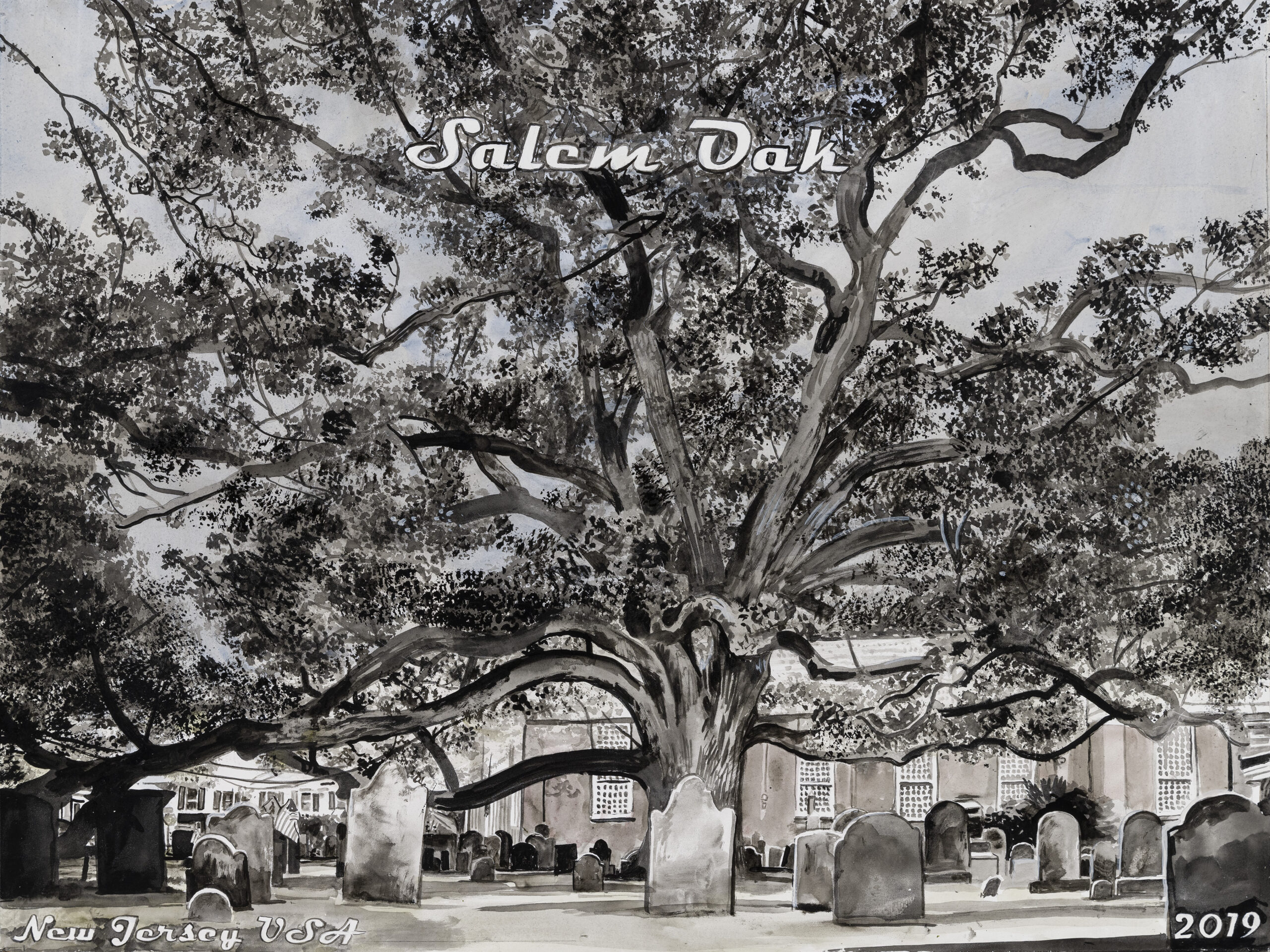 Salem Oak - Disappointed Tourist